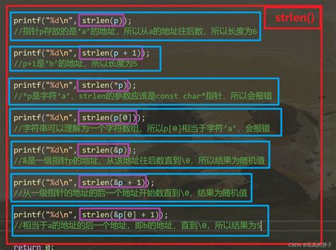 学c的第二十七天【指针的进阶(三)】 1 阿里云开发者社区 学c的第二十七天【指针的进阶(三)】 1 阿里云开发者社区