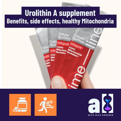 Urolithin A Supplementation Benefits Side Effects Mitochondrial