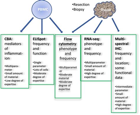Standard Assays Used To Assess Quality And Quantity Of Immune