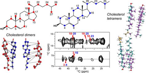 Structure Of Cholesterol Labeled