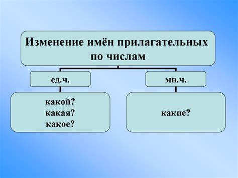 Изменение имён прилагательных и глаголов по числам Online Presentation