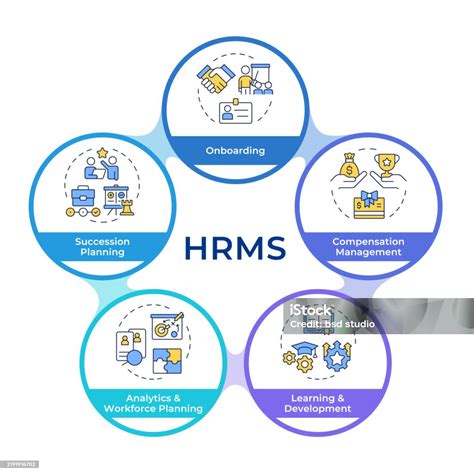 Hrms Infographic Circles Flowchart Stock Illustration Download Image Now Analyzing Big Data
