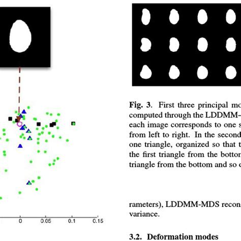 Two Dimensional Representation Of Shape Manifold Computed Using Download Scientific Diagram