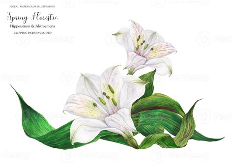 Bridal Vignette With White Peruvian Lily Flowers Stock Photo At Vecteezy