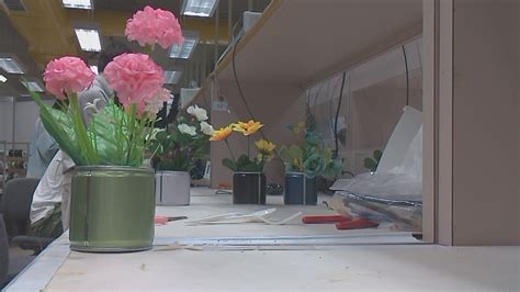 Idp Flower Object Detection Dataset By Justin Workspace