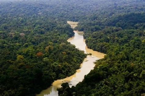 Essequibo o que está por trás do receio do Brasil presença dos