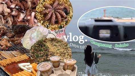 Vlog 가열차게 먹은 강릉속초 1박 2일 여행 브이로그 엄지네꼬막집 초당옥수수커피 봉포머구리물회 오징어순대 튀김