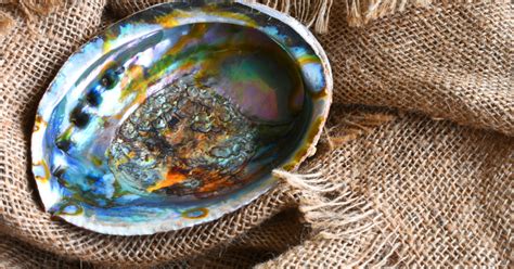 Abalone Meaning Healing Properties Benefits And Uses