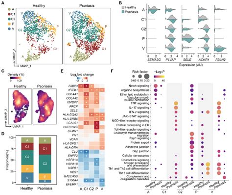 Skin Ec Landscape In Psoriatic And Healthy Samples A Umap