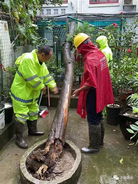 一封感谢信，送给静安风雨中的逆行者→澎湃号·政务澎湃新闻 The Paper
