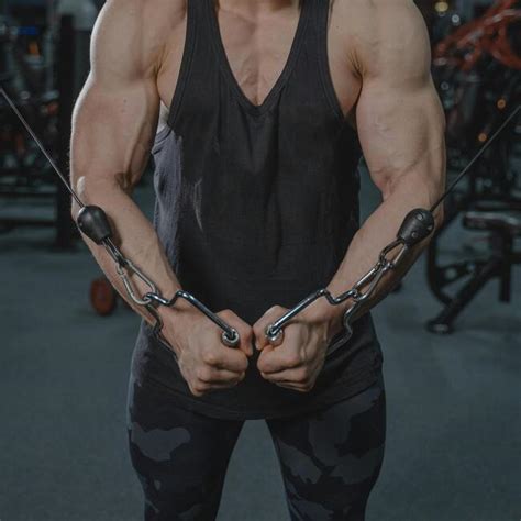 Tension Mécanique Musculation Facteur Clé De Prise De Muscle 💪 Papa