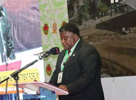 Subsurface Mineral Rights Belong To Govt Ngoma The Maravi Post