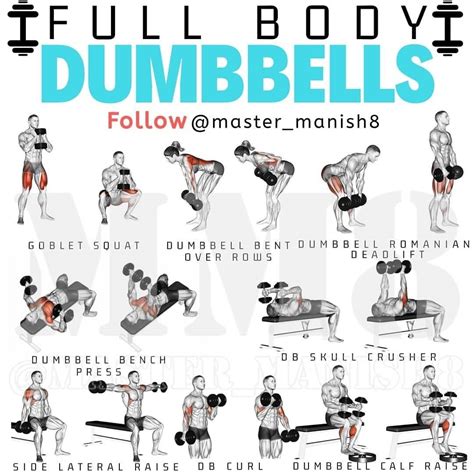 Full Body Dumbbell Workout