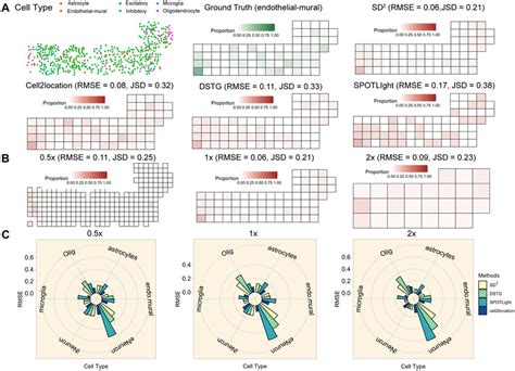A The Figure At The Top Left Corner Shows The Spatial And Cell Type Download Scientific