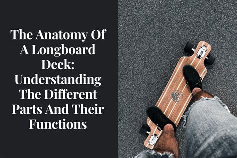 The Anatomy Of A Longboard Deck Understanding The Different Parts And
