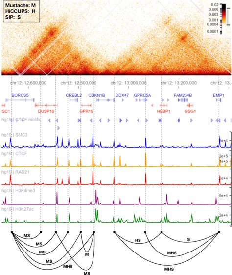 A Comparison Between Mustache Sip And Hiccups Reported Loop Calls In