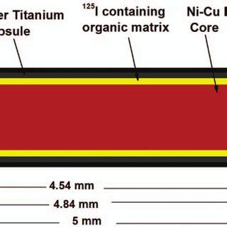 Schematic Of The Thermobrachytherapy Ferromagnetic Core Seed Download Scientific Diagram