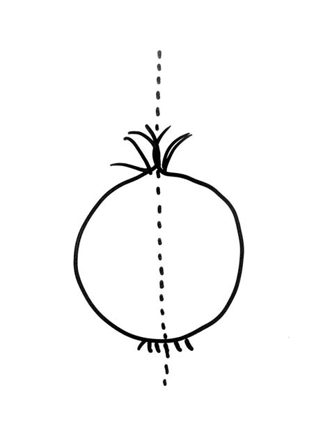 Comment Ciseler Un Oignon Techniques De Cuisine