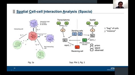 mapping cellular interactions from spatially resolved transcriptomics