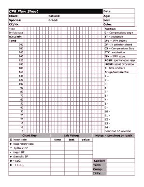 Cpr Flow Sheet Complete With Ease Airslate Signnow