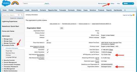 Salesforce Api Call Limit Strategies For Optimal 1st Api Management