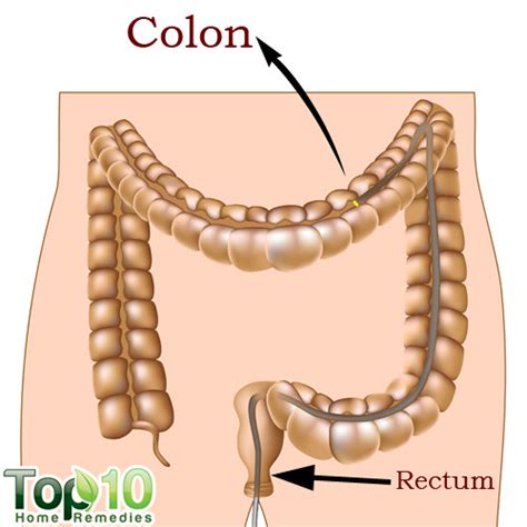 Home Remedies For Colon Cleansing Top 10 Home Remedies
