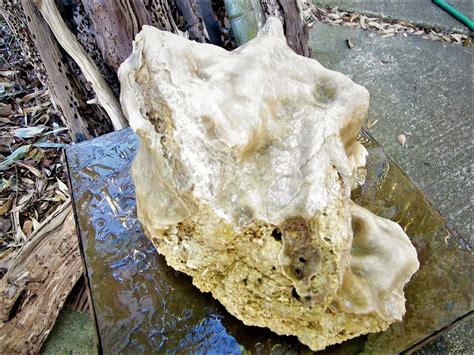 Calcite Flow Cave Rock Limestone Aquarium Terrarium Etsy