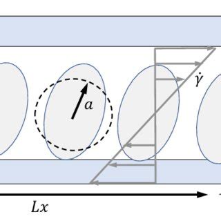 A Schematic Illustration Of The System Setup Download Scientific Diagram