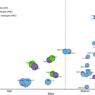 The Polygenic Landscape Of HLA And Non HLA Susceptibility Variants For Download Scientific