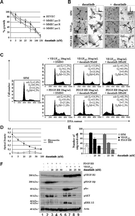Dasatinib Inhibits Vegf 165 And Pdgf Bb Induced Proliferation