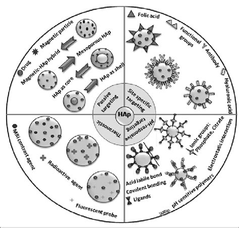 Schematic Diagram Showing Different Methodologies For Fabrication Of Download Scientific