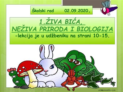 1 Ziva Bica Neziva Priroda I Biologija Ppt