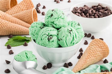 Mint Chocolate Chip Ice Cream Recipe Gluten Free Goddess Recipes