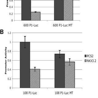 Introduction Of An Nkx3 2 Binding Incompetent Mutation Into The Runx2