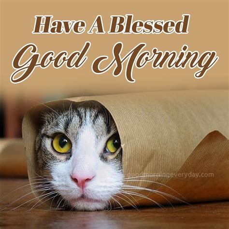 Good Morning Funny Cat