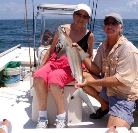 Hed Goes Hereand Hereg Waterline