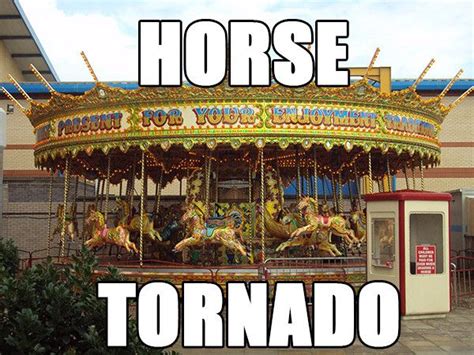 Imgurians Phrases For Things Funny Anecdotes Funny Pictures Merry
