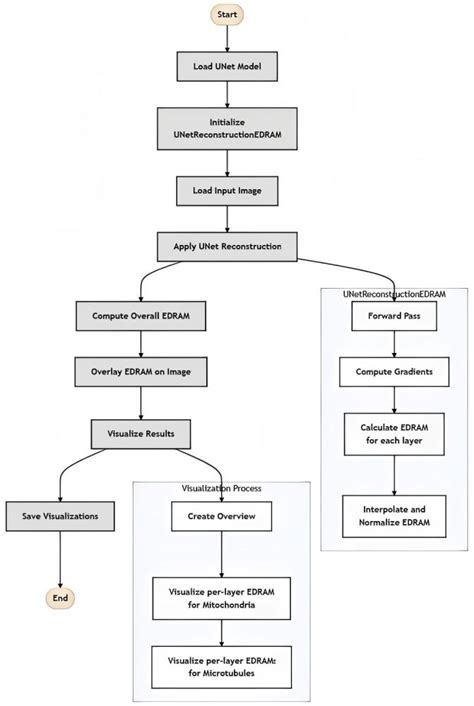 基于编码器 解码器架构的重建任务可解释性分析方法