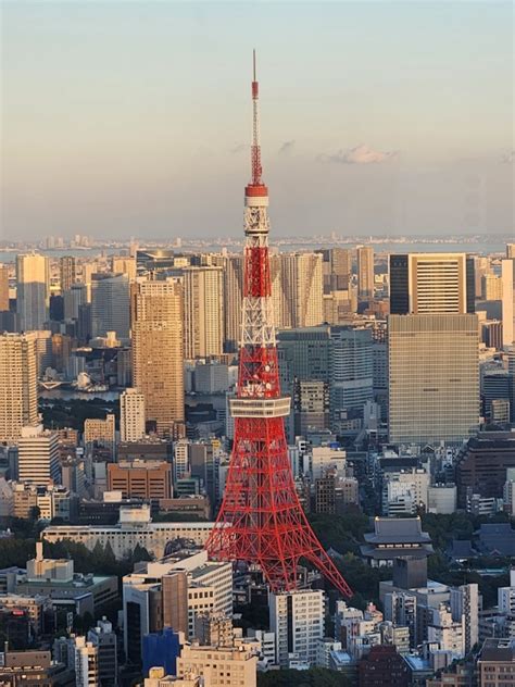 혼자도쿄여행 도쿄타워 스팟 시바공원 도쿄타워뷰 브런치 맛집 롯폰기힐즈 하브스 모리타워전망대 모티타워전망대티켓예매 카가리라멘 네이버 블로그