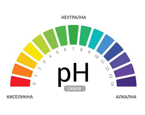 Системи за пречистване и йонизиране на питейна вода