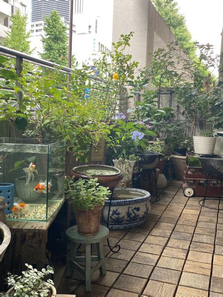 Balcony Gardens A Small Space To Unwind Web Japan
