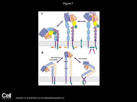 Volume 110 Issue 6 Pages September 2002 Ppt Download