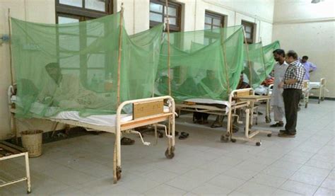 38 More Dengue Cases Reported In Karachi