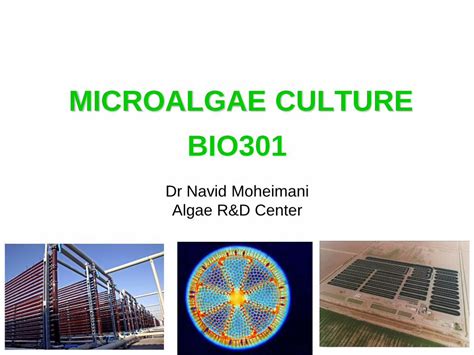 Pdf Microalgae Culture Bio301 Auunitsexternbio301