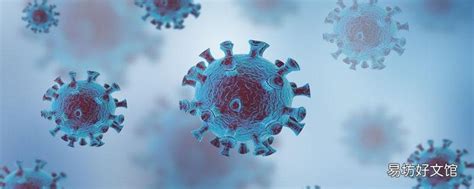 新冠病毒变异株存活时间 新冠病毒变异株和新冠有什么区别 新冠病毒易坊