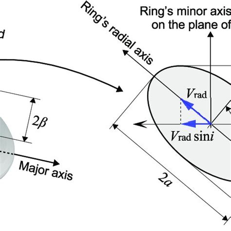Ring Model With An Elliptical Cross Section The Observed Width 2β Of