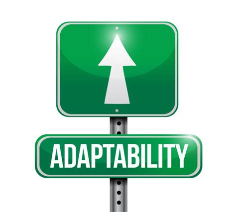 5 900 Adaptability Stock Illustrations Royalty Free Vector Graphics