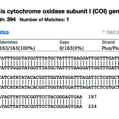 sequence alignment results of the pcr amplicon which showed 100