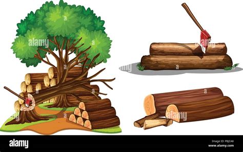 A Set Of Tree Being Cut Illustration Stock Vector Image Art Alamy