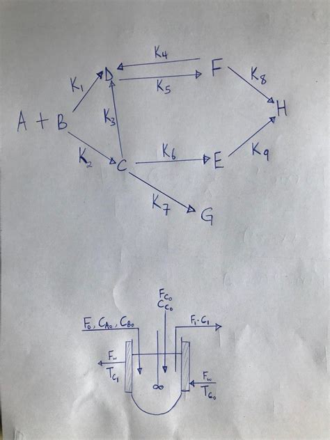 Solved The Following Complex Reactions Take Place In The Chegg